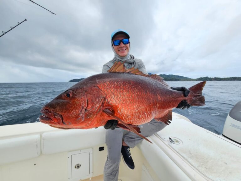 Cubera Snapper - Fish Panama Today